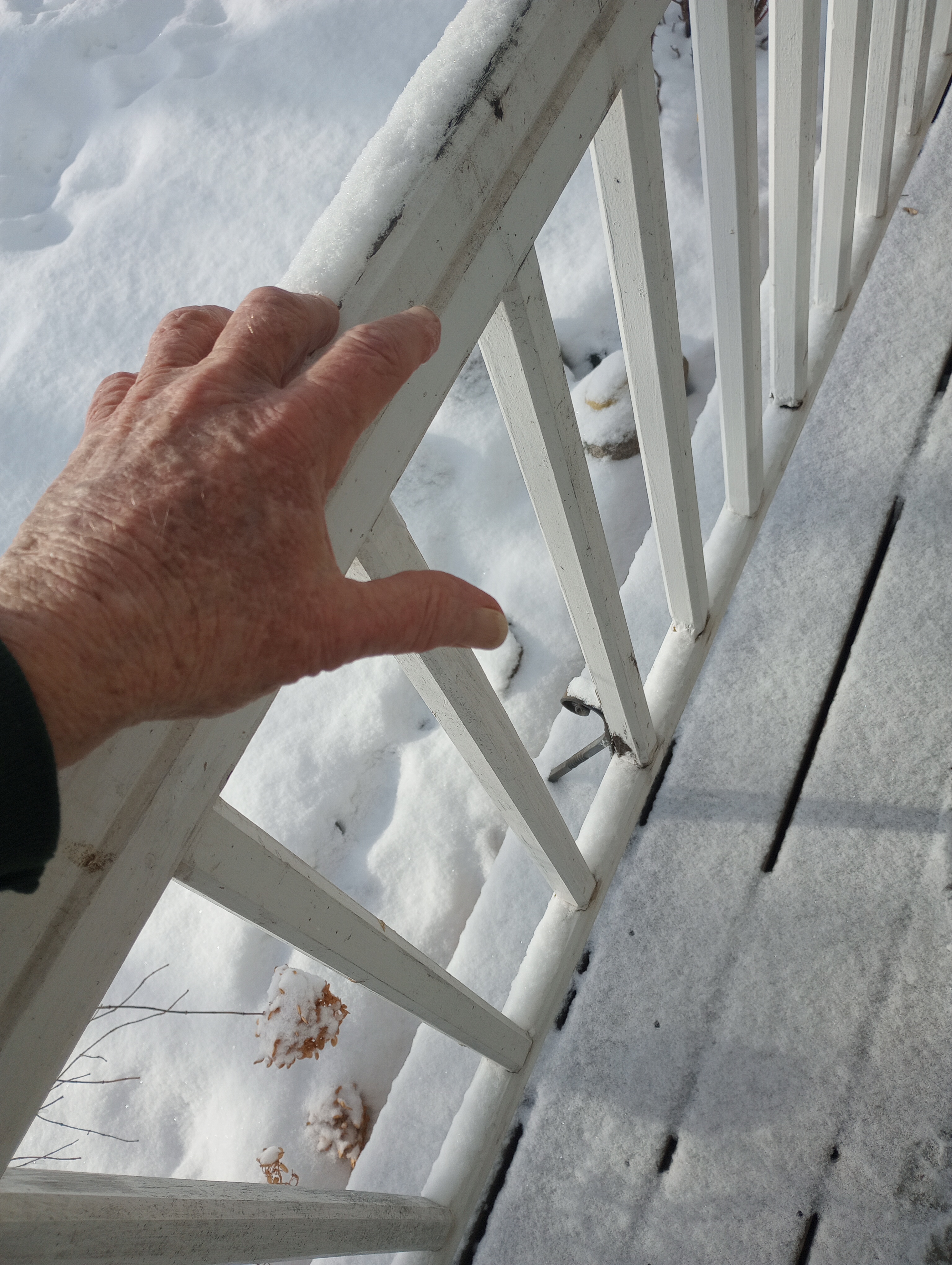 Working in the Cold | Jack gators grace notes
